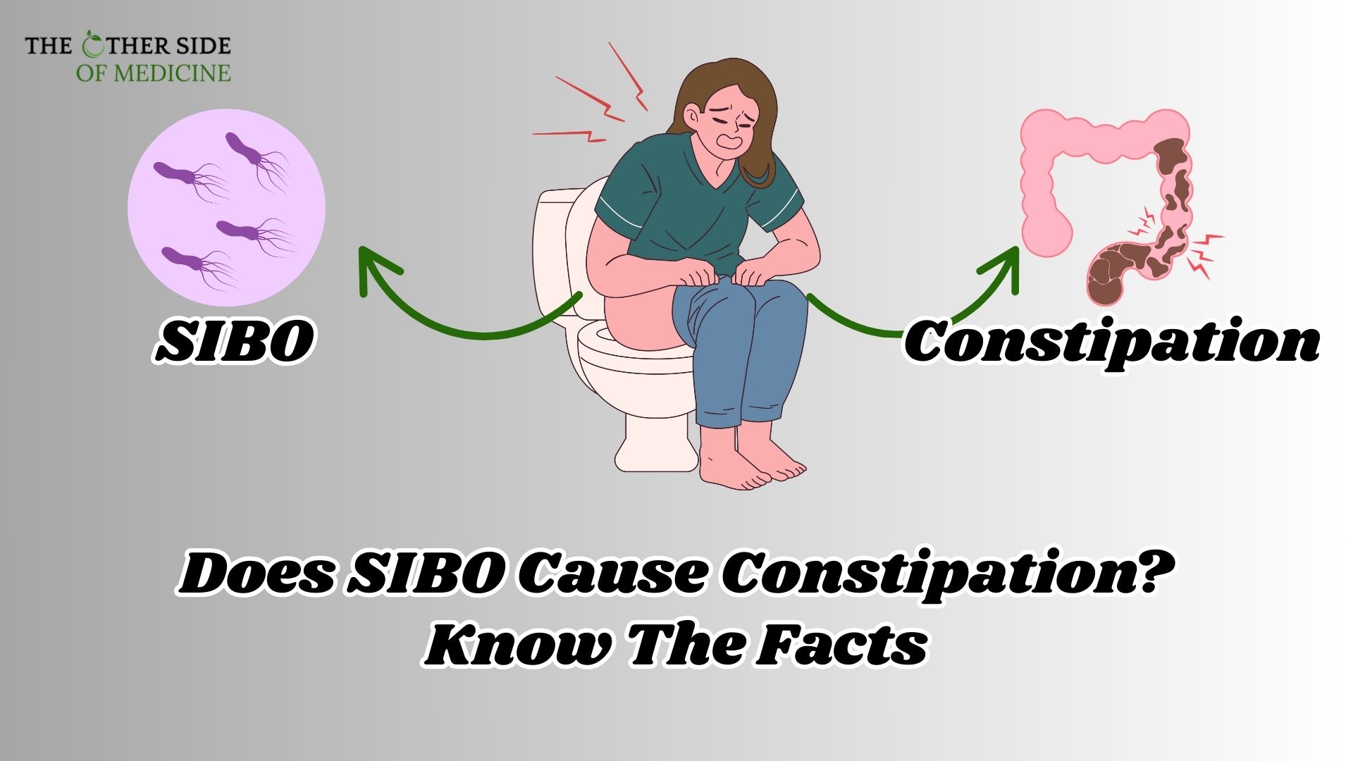 Does SIBO Cause Constipation? Dr. Krystosik's Reveals How - THE OTHER SIDE OF MEDICINE